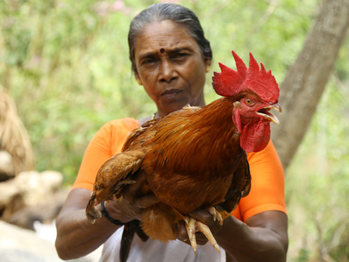 Kerala Style Bitter Gourd Toran – Village Cooking